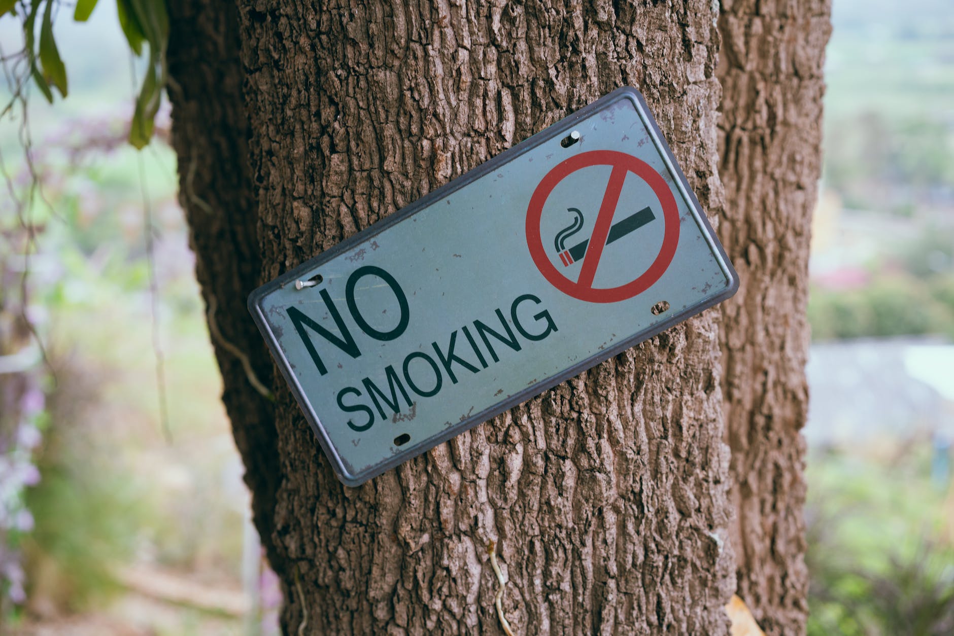 Sweden intends to be the first smoke-free country in Europe