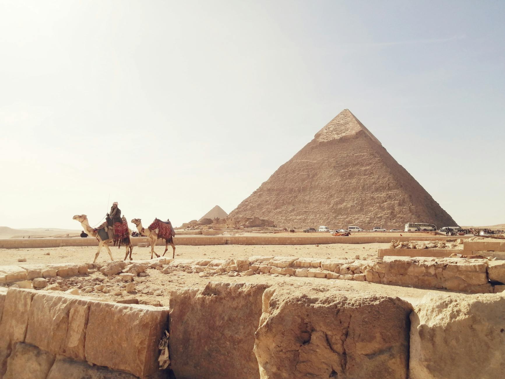 Watch as an adventurous dog climbs to the top of an ancient Egyptian ...